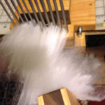 Spinning a Fine New Zealand Merino Fleece – Nancy Elizabeth Designs